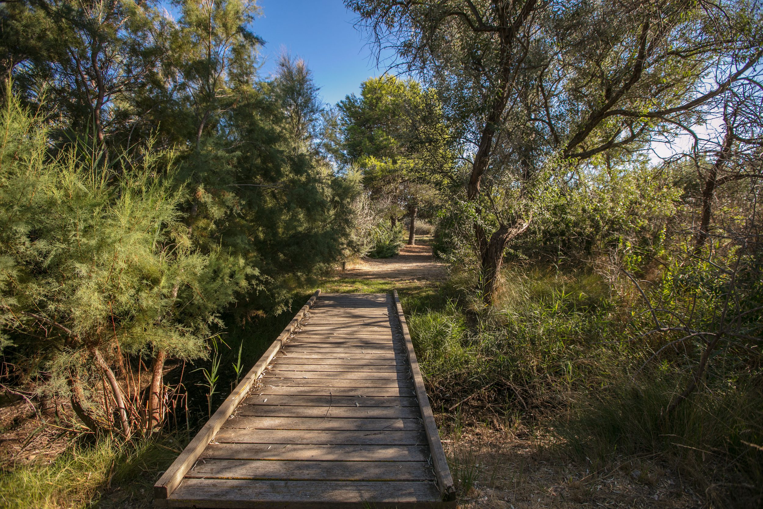 Séquia Major | Vila-seca